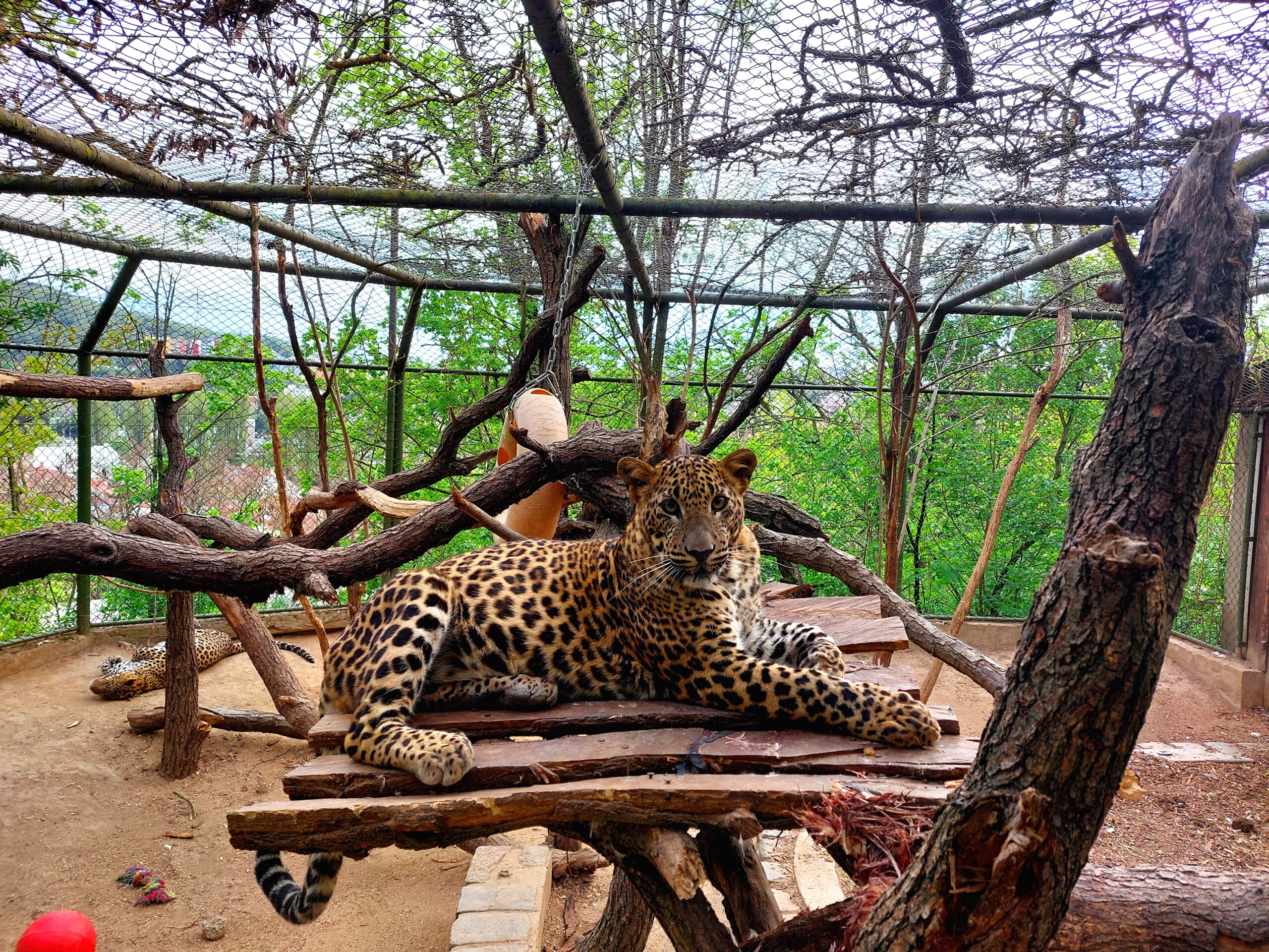 ZOO BRNO recenze – Info Brno